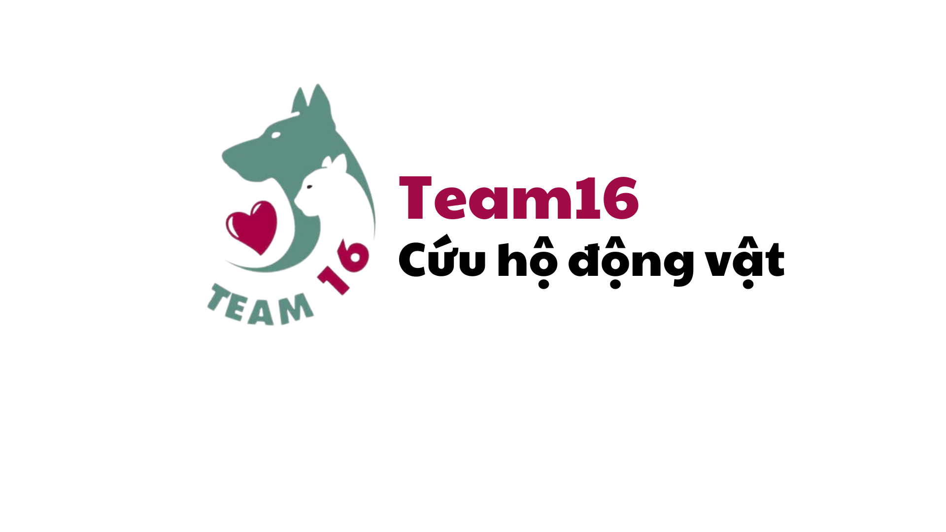 Quá trình cứu hộ - Team 16